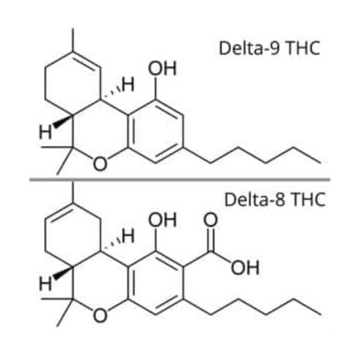 Comparison Of Delta 9 Vs Delta 8: Understanding Differences Comparison Of Delta 9 Vs Delta 8: Understanding Differences